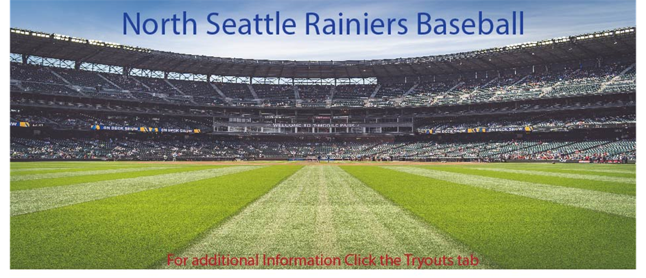 Other Youth Baseball Opportunities